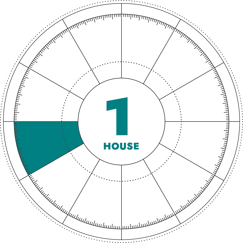 1st House - Looking in the mirror - Astrology Wolf