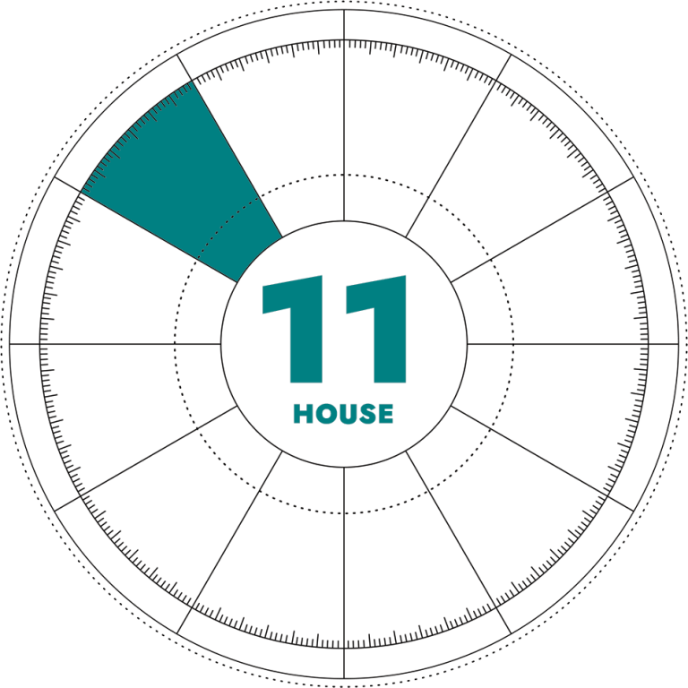 11th House - You can change the world - Astrology Wolf