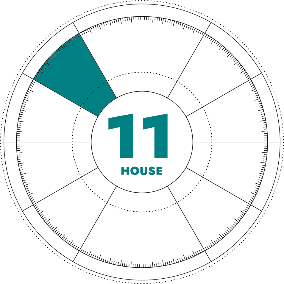 11th House - You can change the world - Astrology Wolf